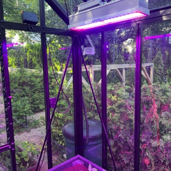 Augalinės lempos, LED lempos šiltnamiams