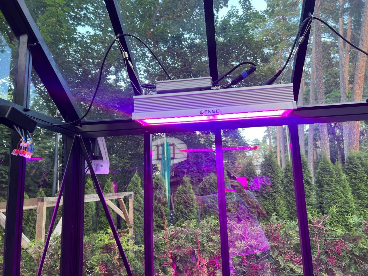 Augalinės lempos, LED lempos šiltnamiams