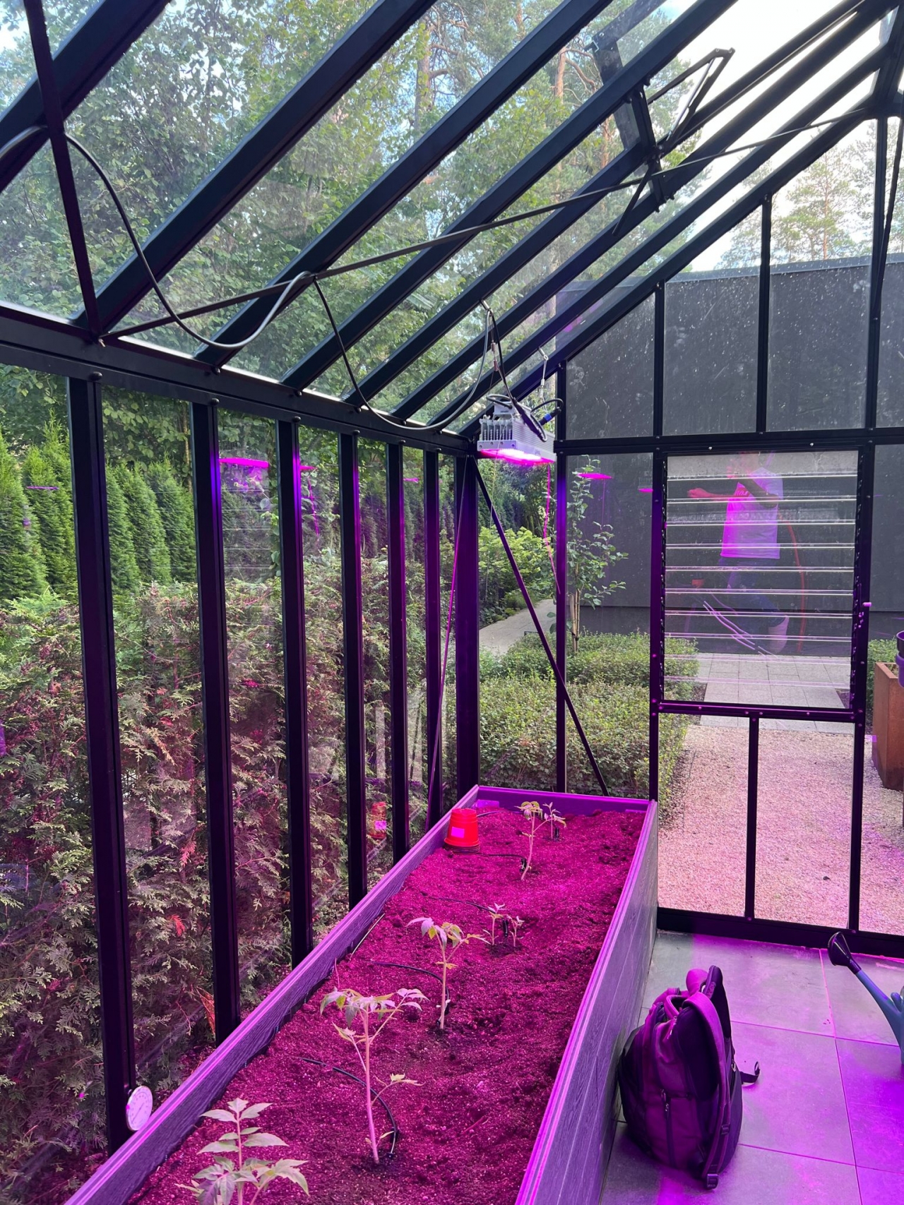 Augalinės lempos, LED lempos šiltnamiams